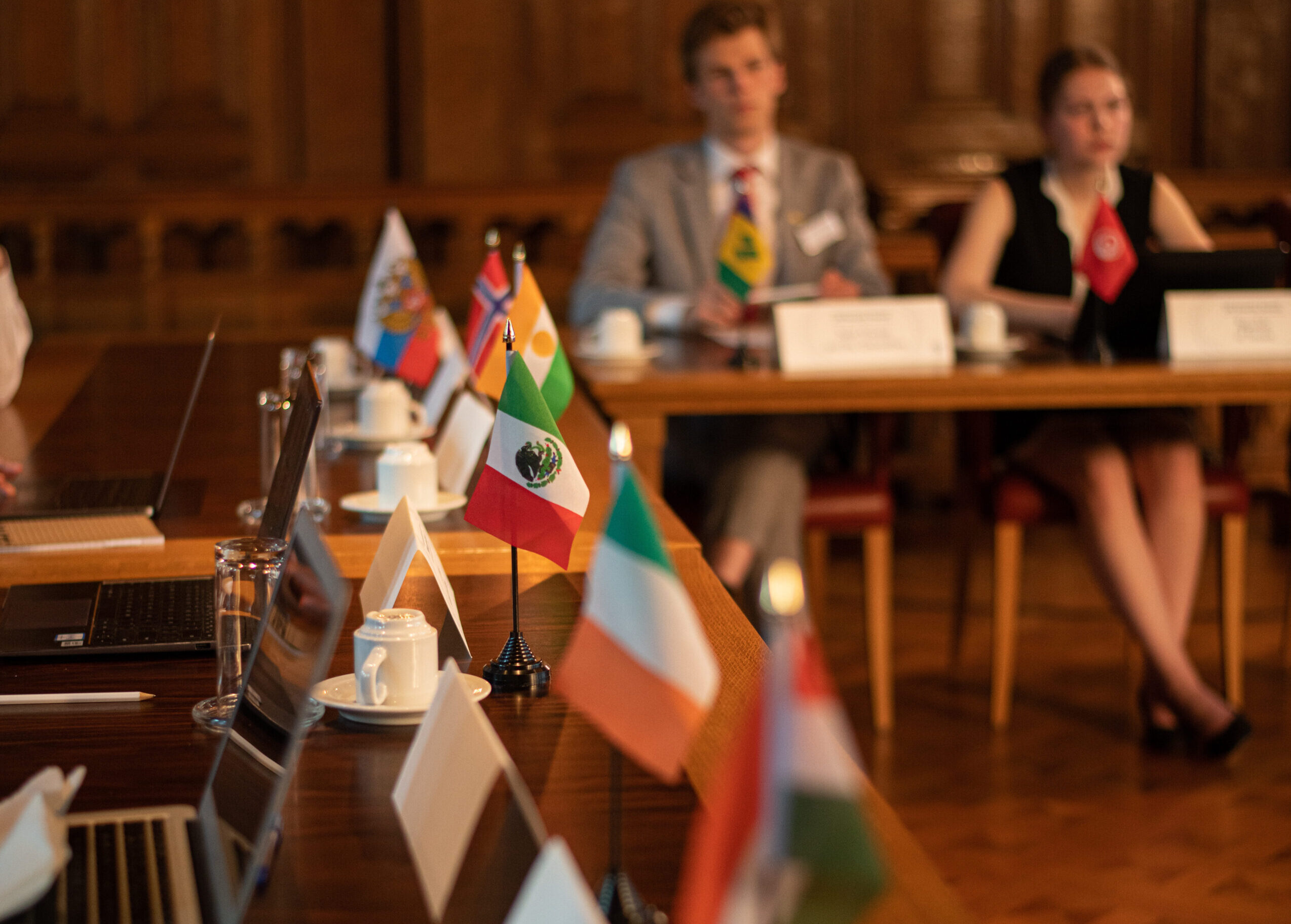 Councils 2025 - TEIMUN